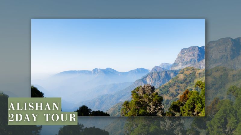 Alishan Two-Days Tour Guide｜The Best Way to Fully Experience Alishan ...